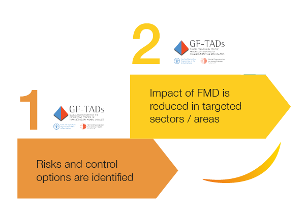 EuFMD vLearning: Study an Open-Access Online Course | EuFMD vLearning